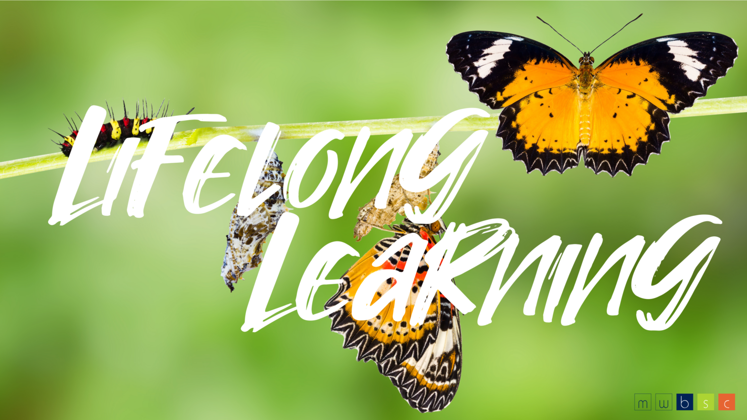 Der Big Five Inventory (BFI) Test: Ein umfassender Überblick - mwbsc GmbH